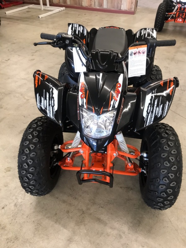 KAYO STORM 150 | M & M Motorsports